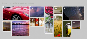 A Fluid Asymmetrical Animated Grid jQuery Plugin | Web Resources | WebAppers